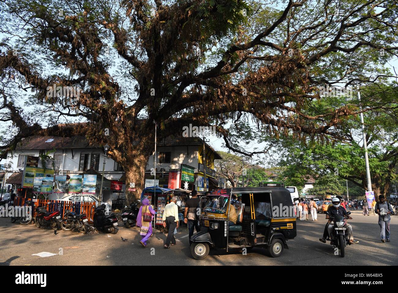 Busy street scene in Fort Kochi (Cochin), Kerala, India Stock Photo - Alamy
