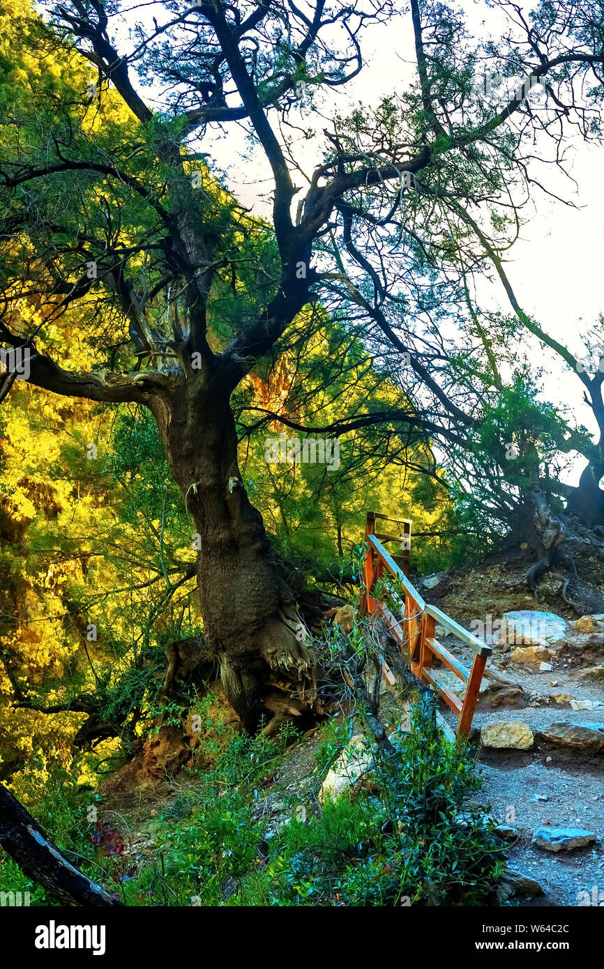 Nice sunset over the mountain landscape in Morocco. On the image there ...