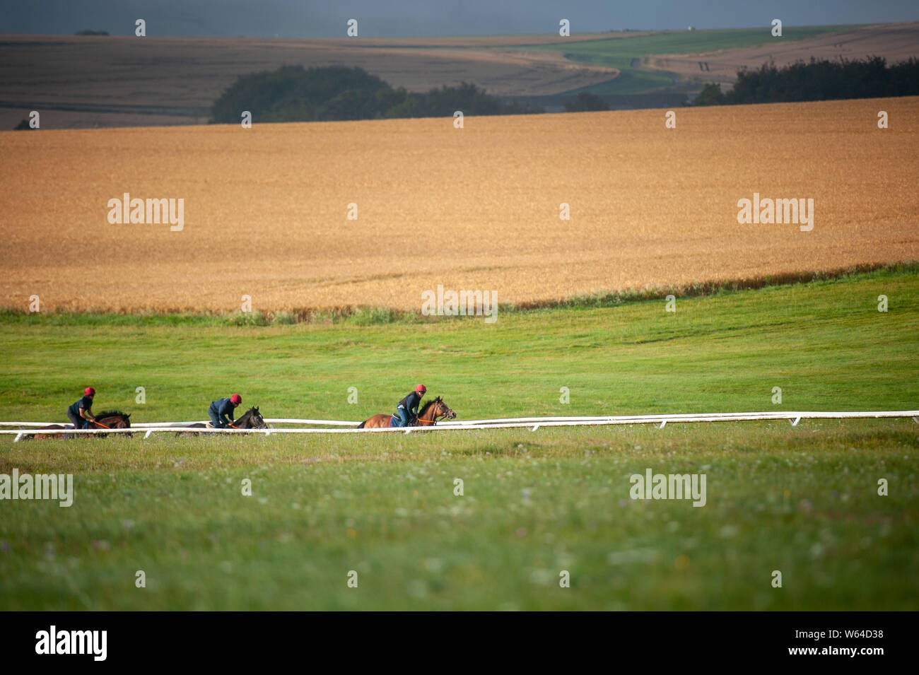 Beckhampton Stables, Near Marlborough, Wiltshire, UK. 29th July 2019 ...