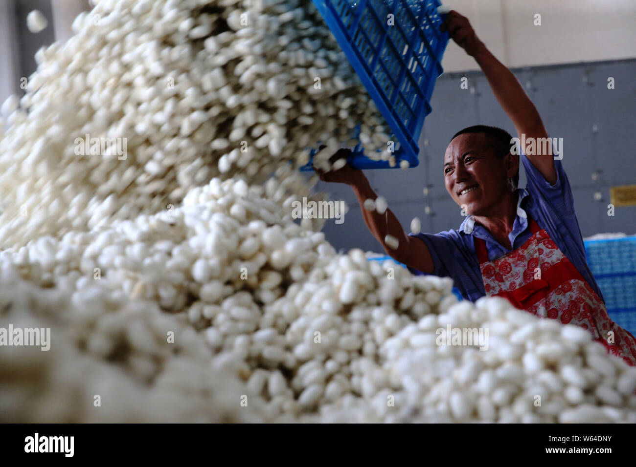 Reeling Of Silk From Cocoon