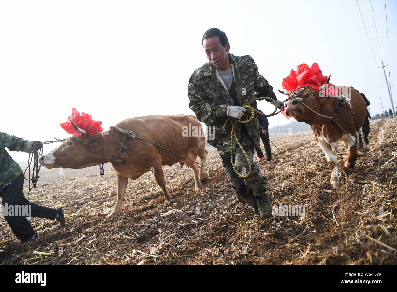 Chinese peasant plow hi-res stock photography and images - Alamy