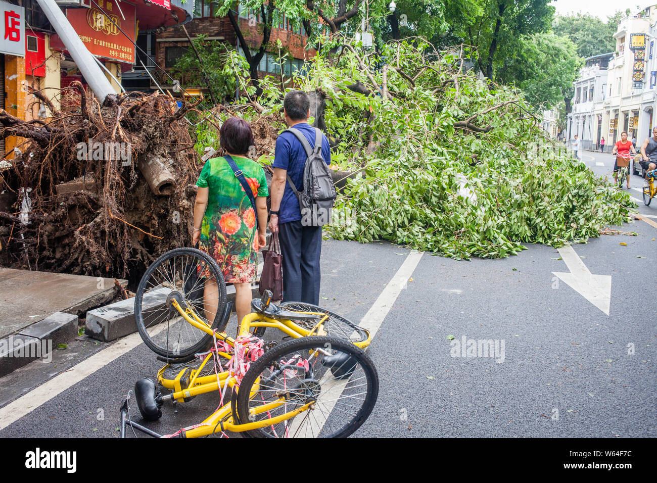 A telegraph pole is uprooted by strong wind caused by Typhoon Mangkhut ...