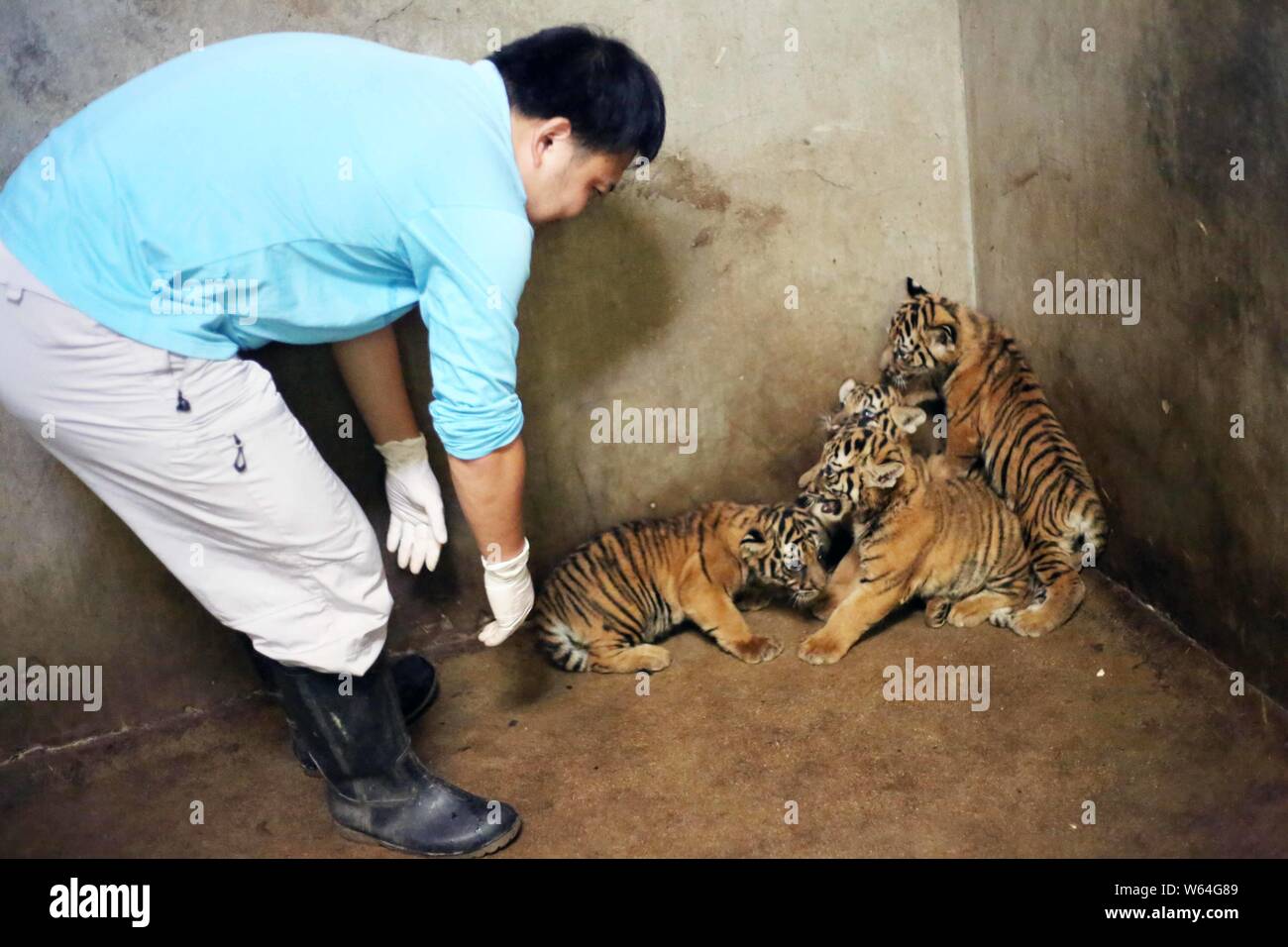 Nan Sha High Resolution Stock Photography and Images - Alamy