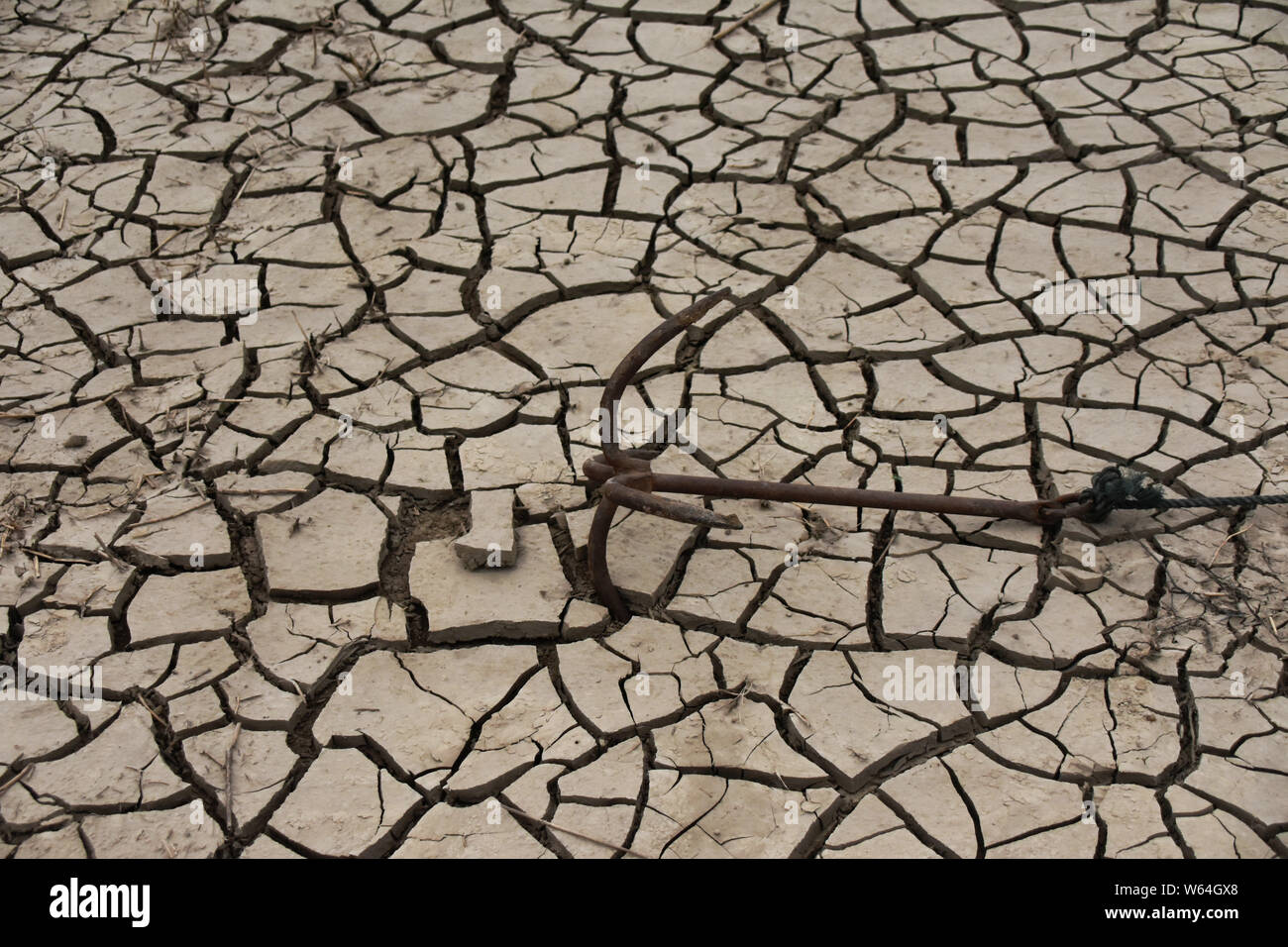 View of the cracked riverbed scorched by heat waves at the Jinhu ...