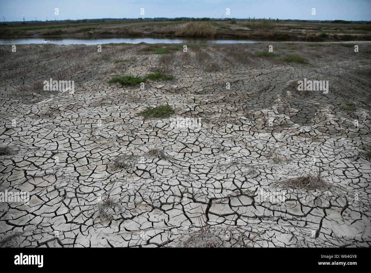 View of the cracked riverbed scorched by heat waves at the Jinhu ...