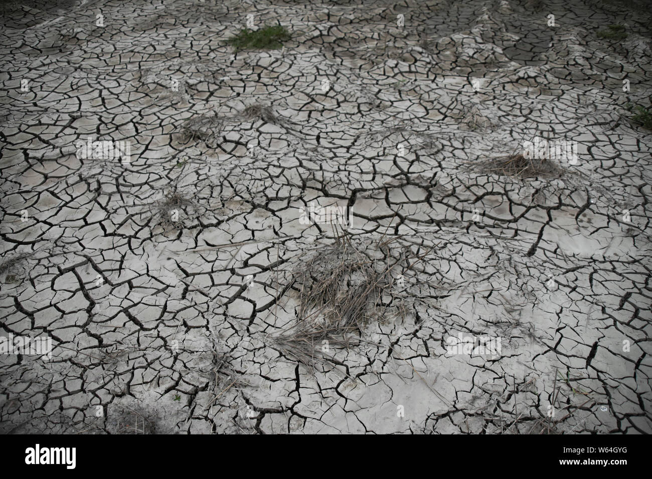 View of the cracked riverbed scorched by heat waves at the Jinhu ...