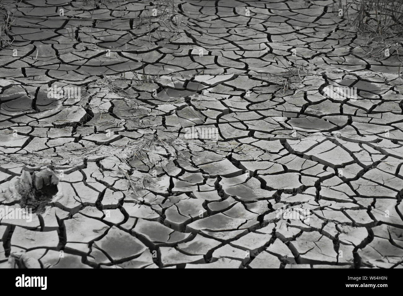 View of the cracked riverbed scorched by heat waves at the Jinhu ...