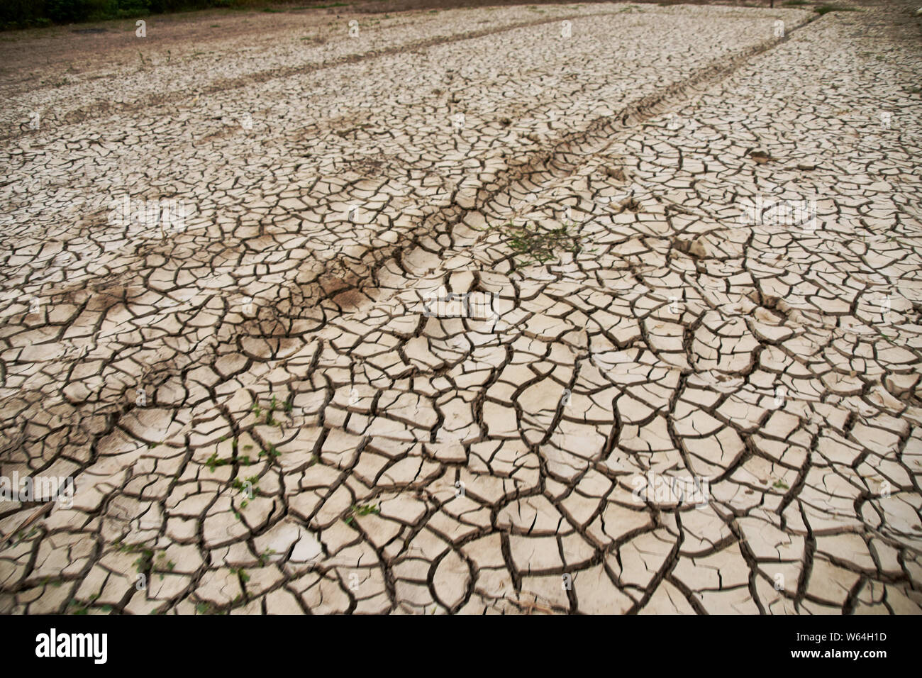 View of the cracked riverbed scorched by heat waves at the Jinhu ...