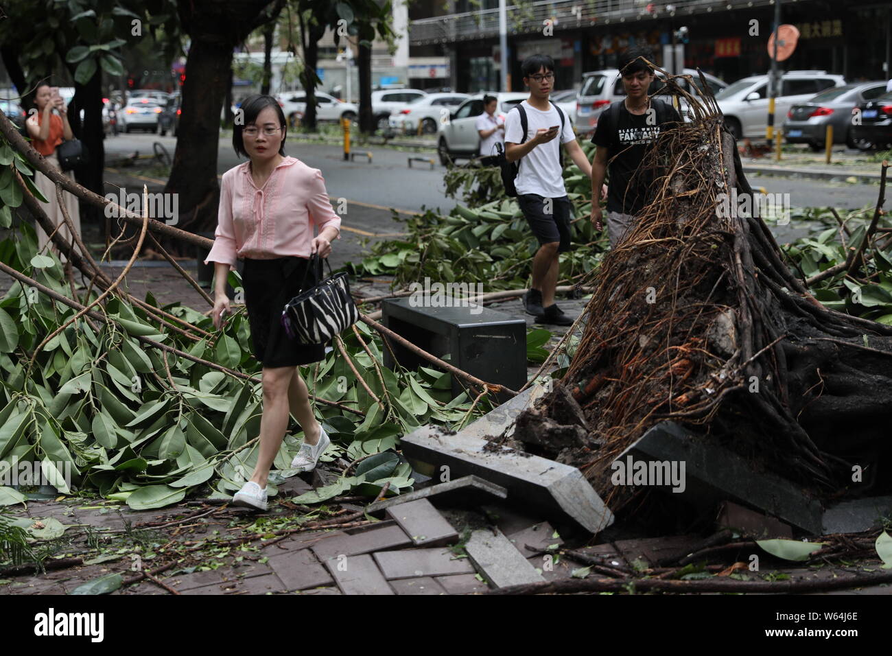 Pedestrians walk past trees uprooted by strong wind caused by Typhoon ...