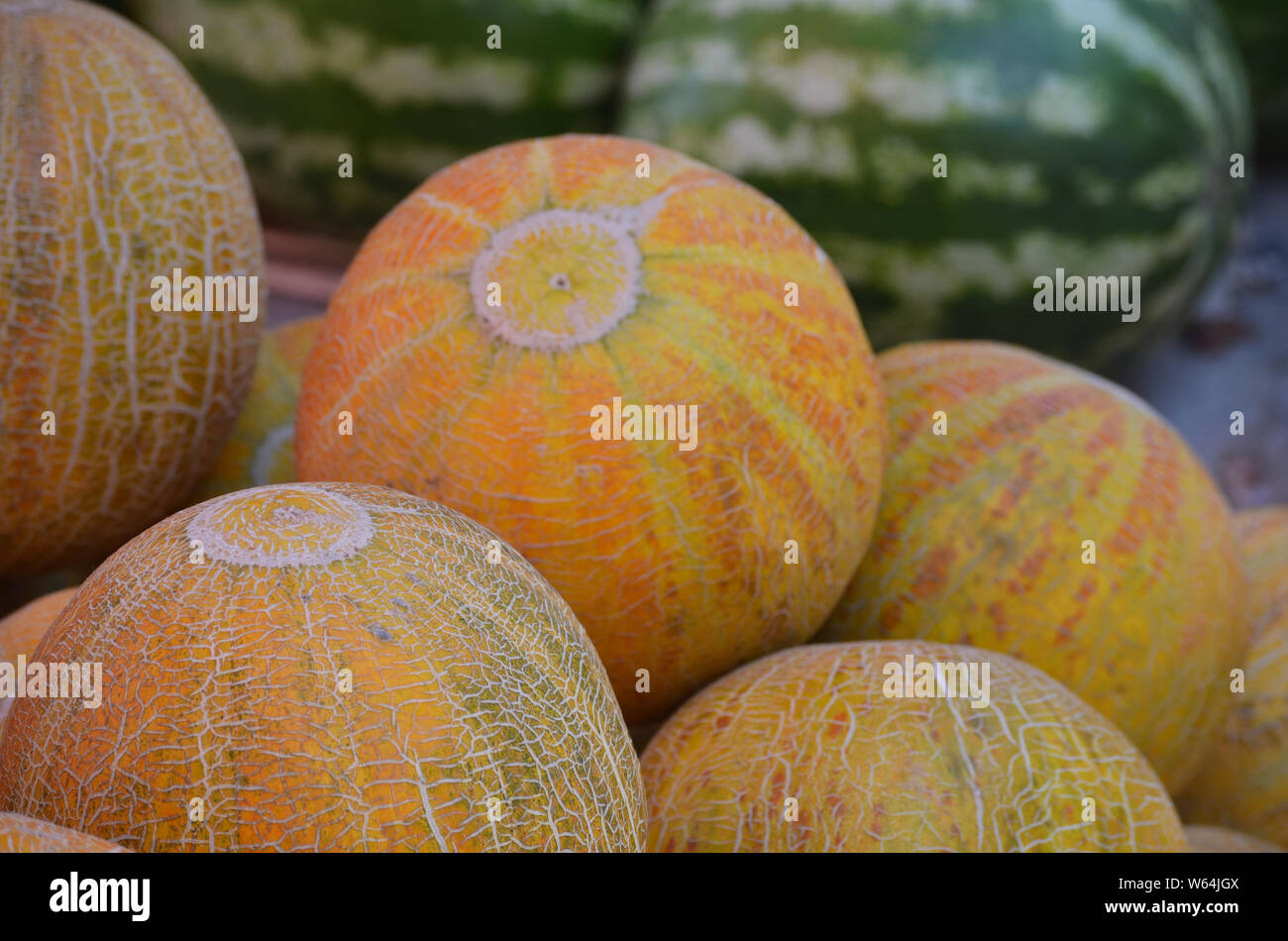 Locally-grown Melons and watermelons in Siaab Bazaar, Samarkand ...