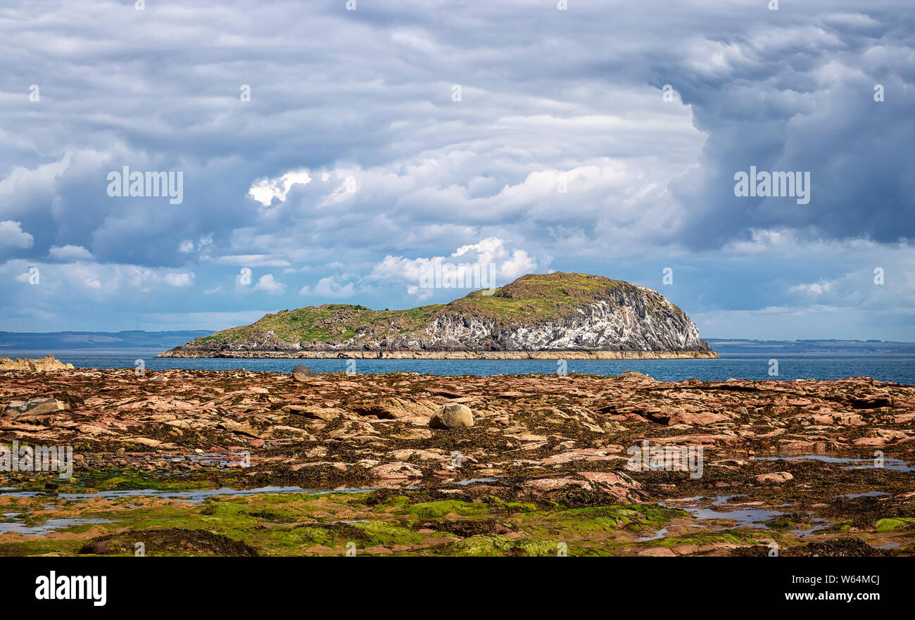 Craigleith island from the East Bay, North Berwick, East Lothian ...