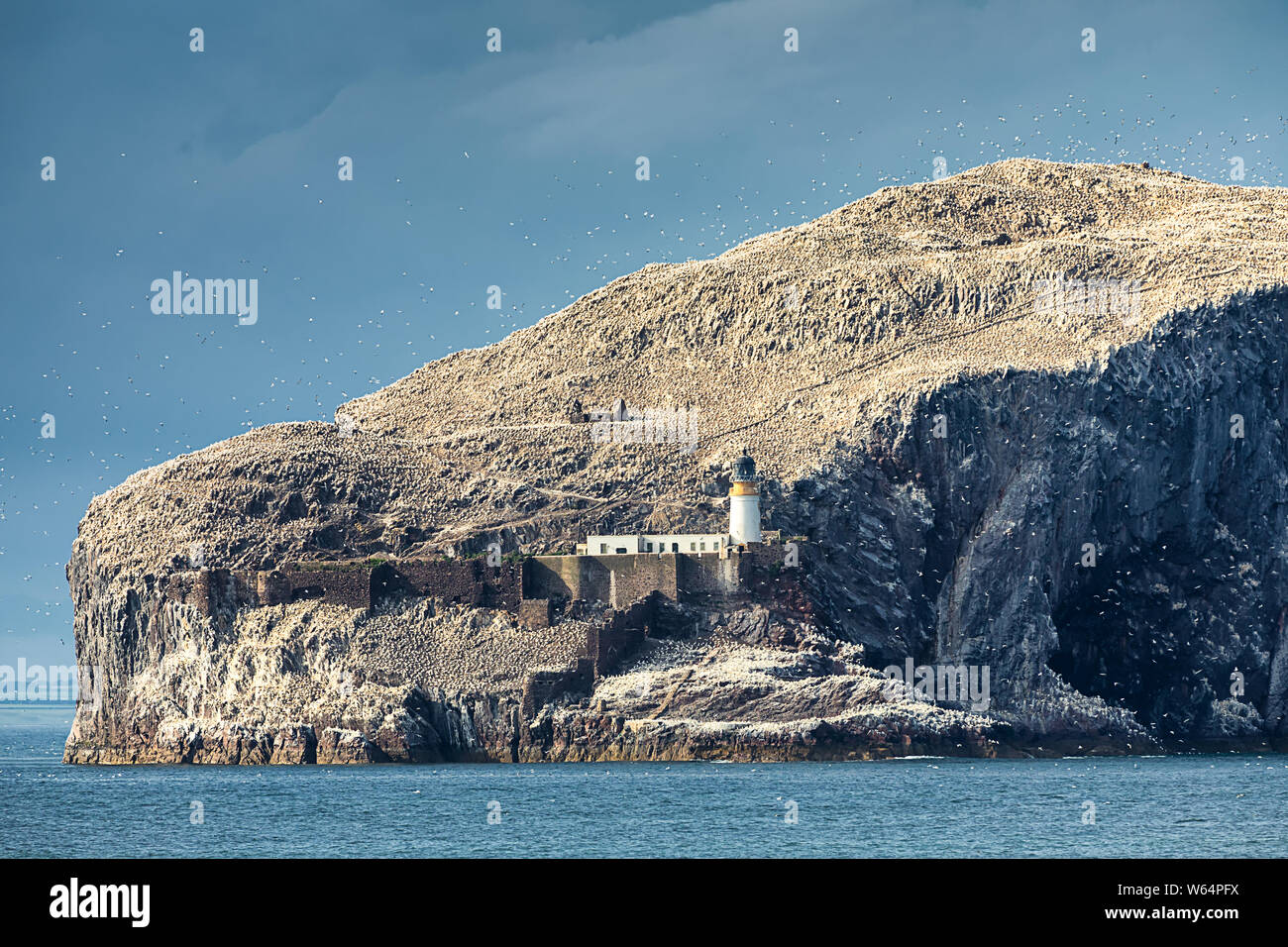 Views of Bass Rock. Bass Rock has world's largest colony of Northern ...