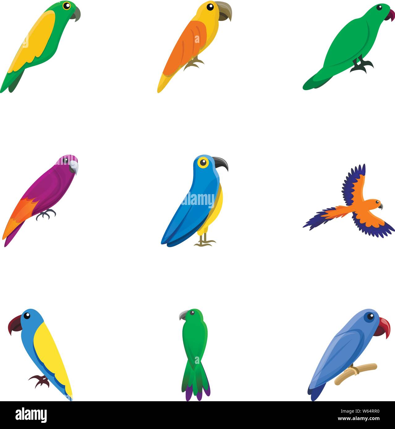 Colorful parrot icon set. Cartoon set of 9 colorful parrot vector icons ...