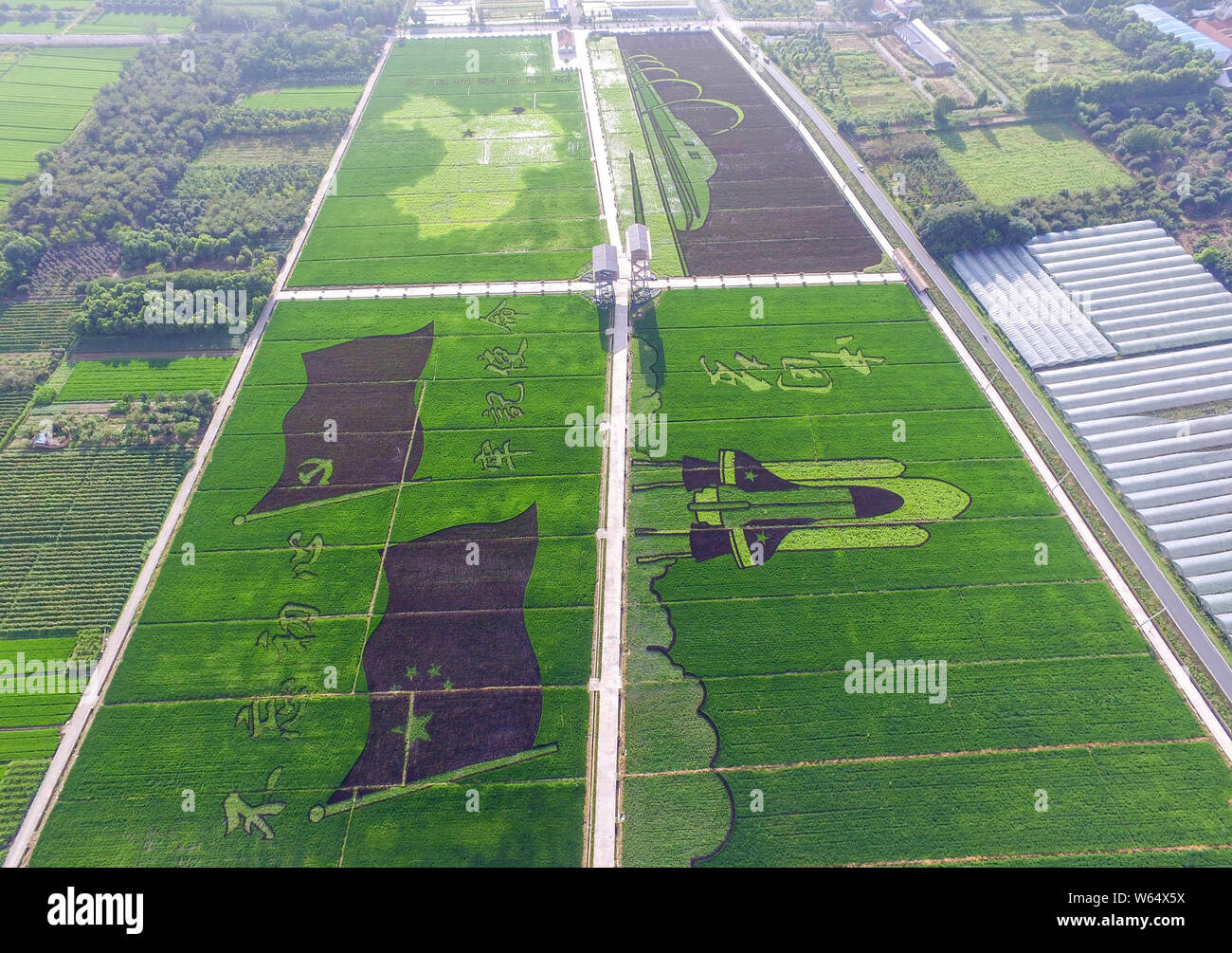 An aerial view of 3D rice paddy paintings with the theme of "China ...