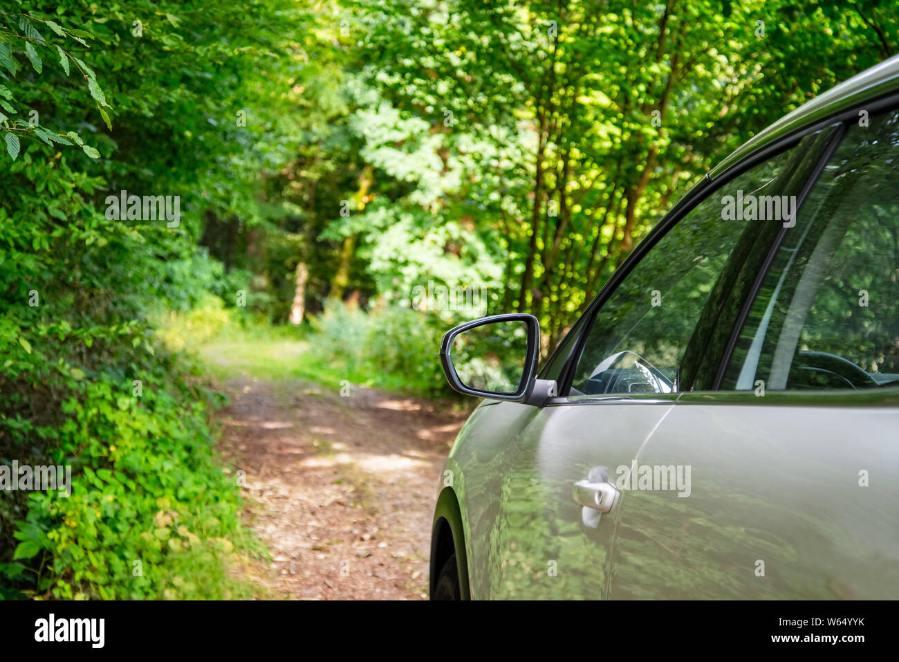 Side view of a car standing on a forest track Stock Photo - Alamy