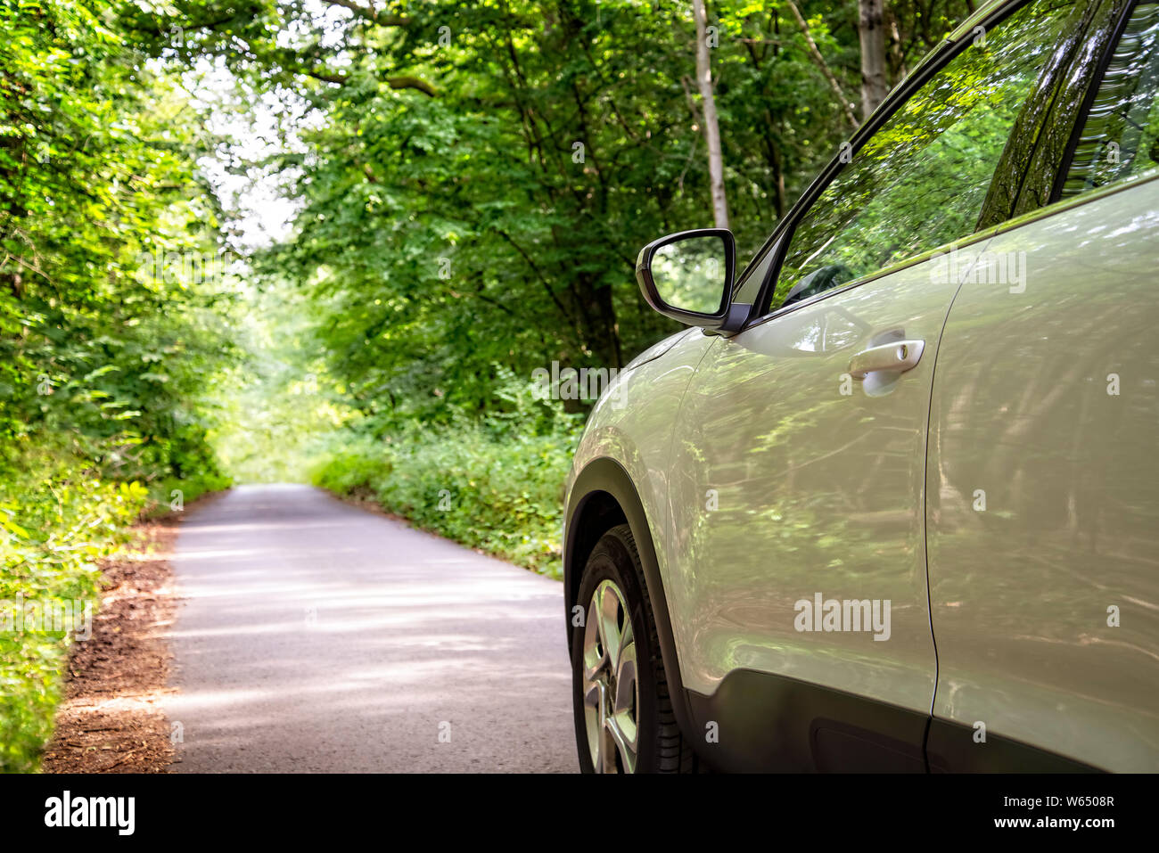 Side view of a car standing on a small road in the forest Stock Photo ...