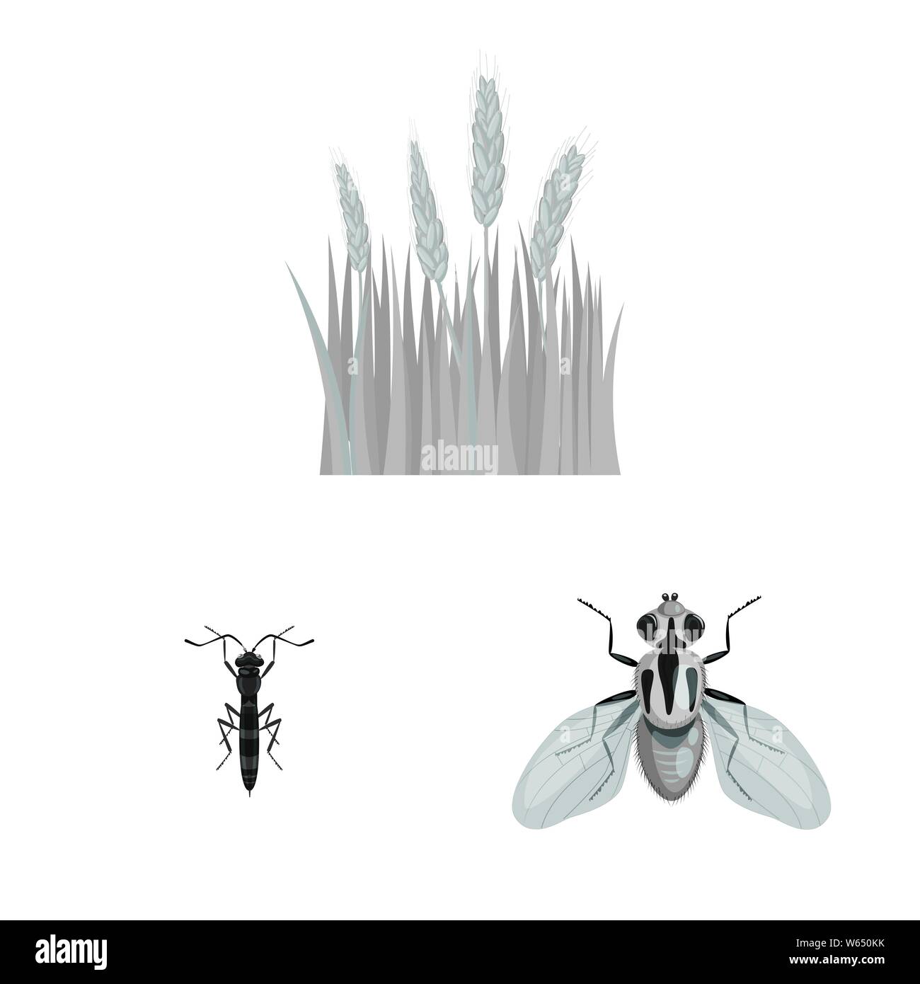 Vector Vectors Stock Vector Image & Art - Alamy