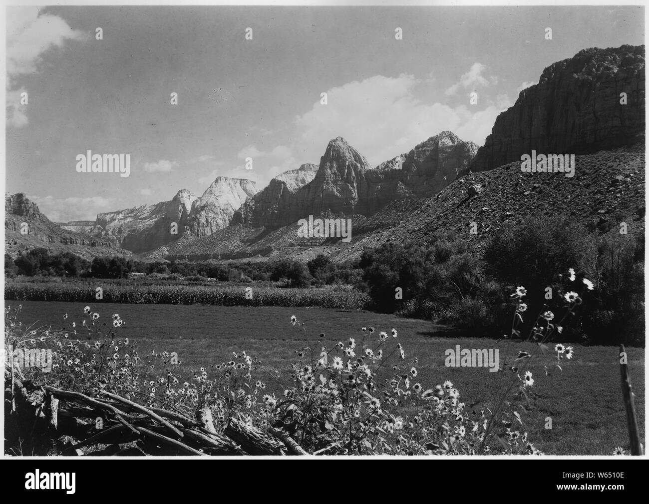 Springdale east hi-res stock photography and images - Alamy