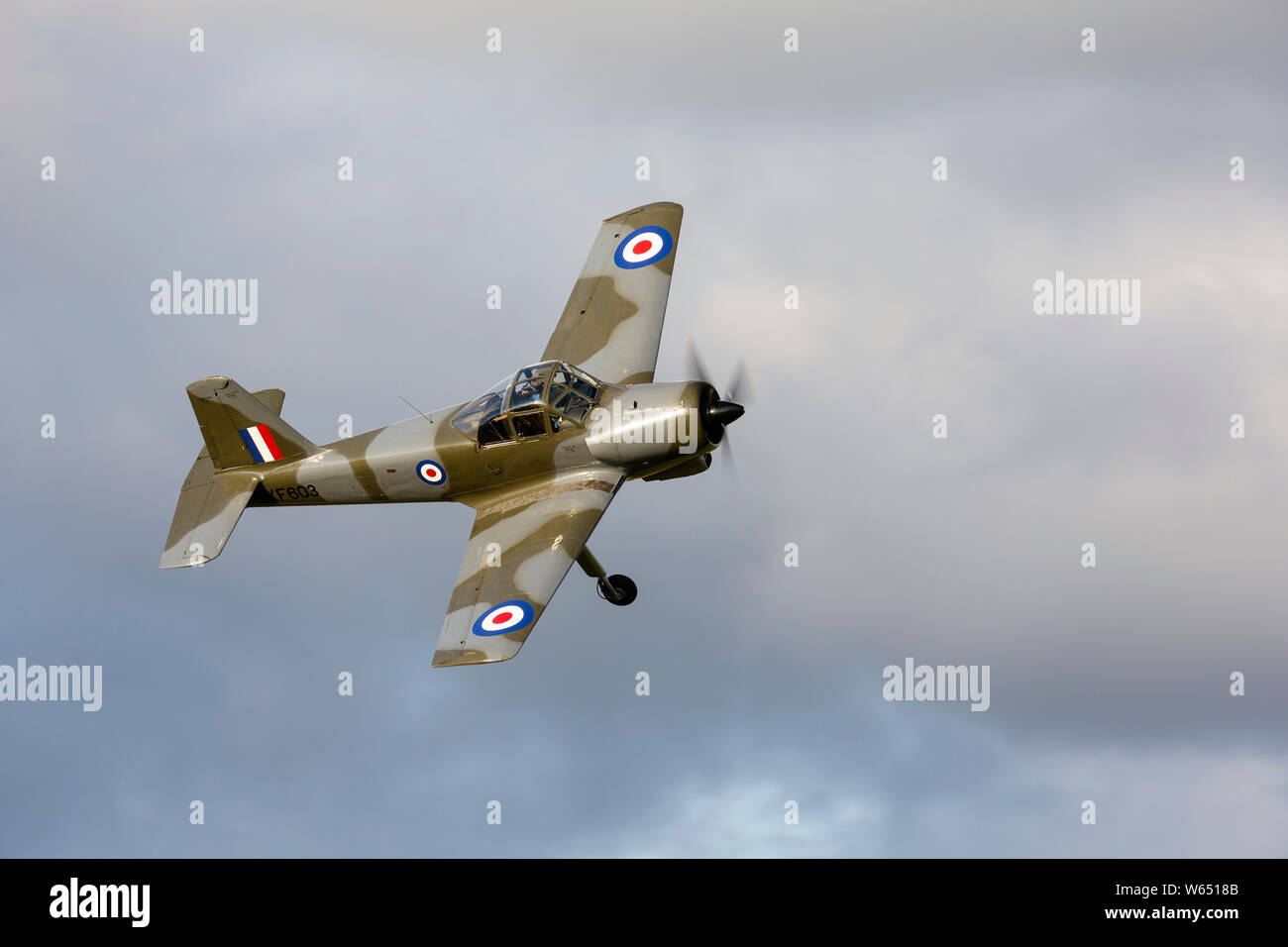 Piston Provost