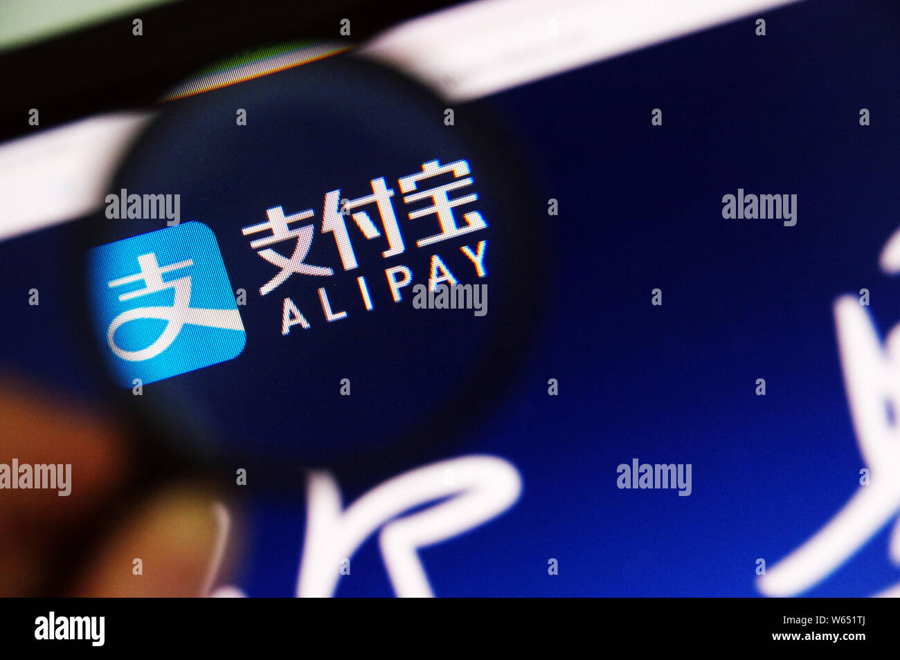 A Chinese netizen browses the website of third-party payment service ...