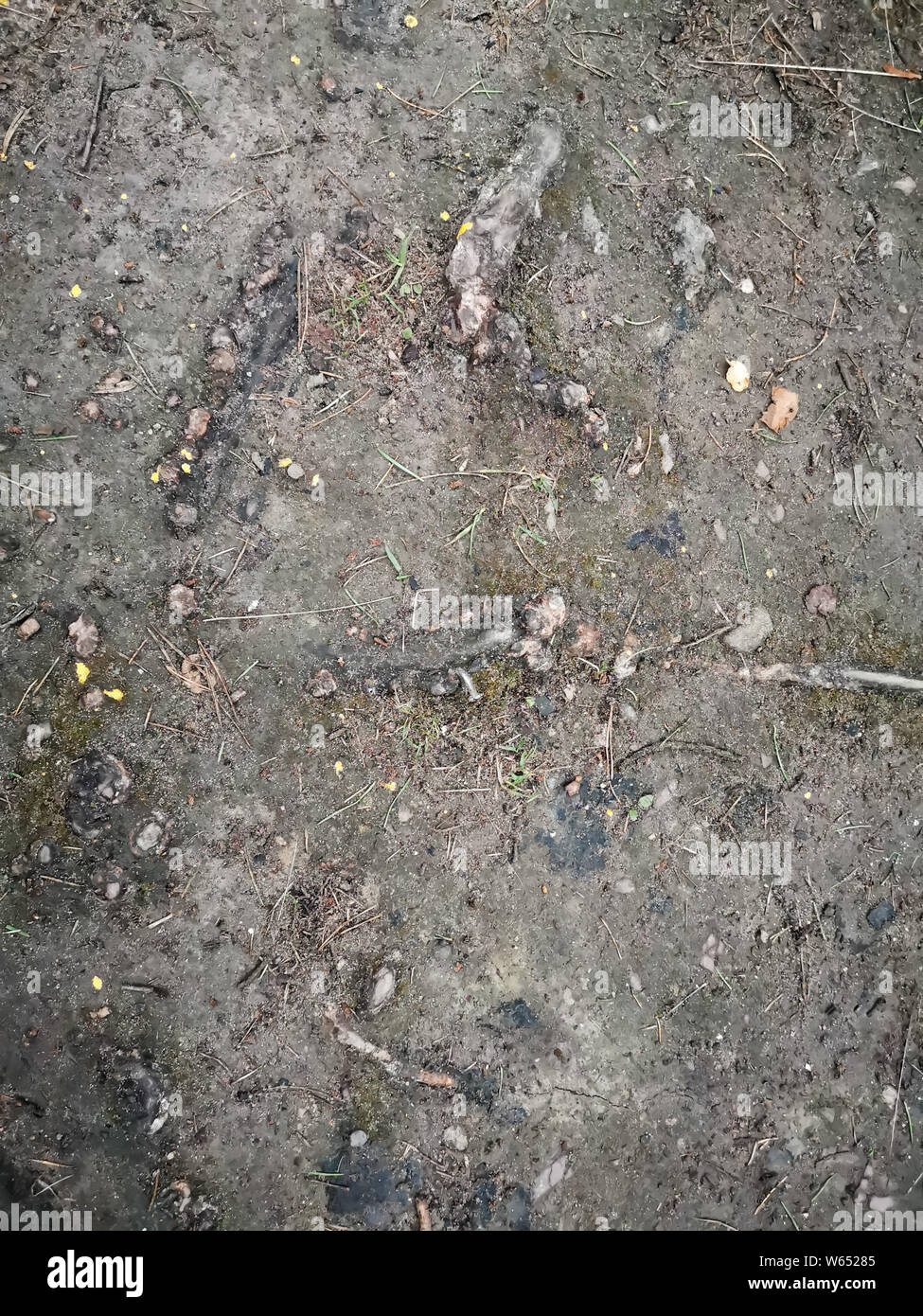 Clay coating hi-res stock photography and images - Alamy