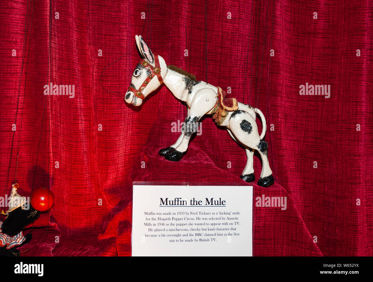 Original muffin the mule collection hi-res stock photography and images ...