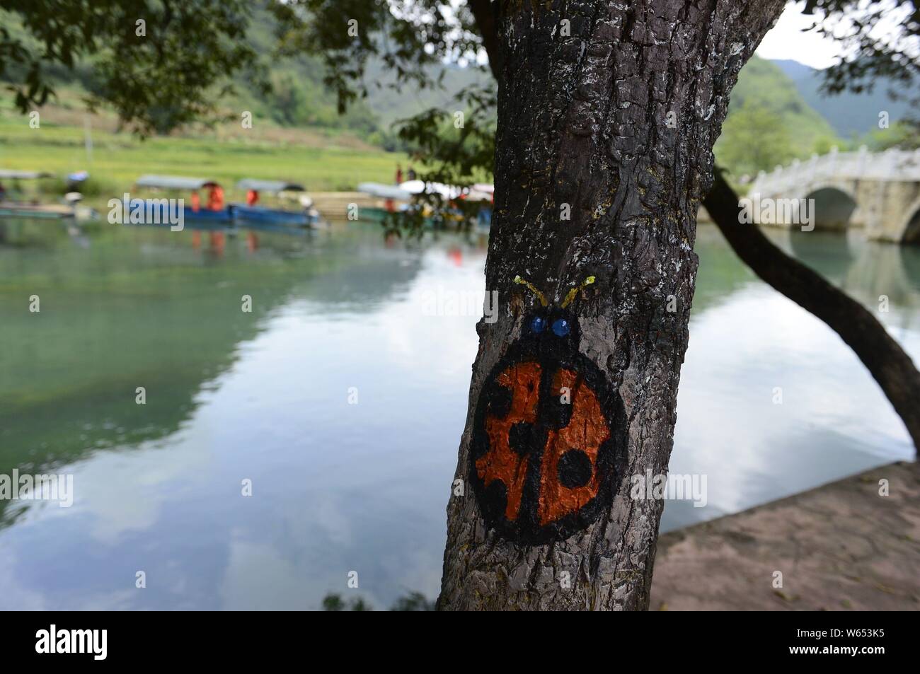 A colored drawing of a ladybird is seen on a tree in Heye village ...