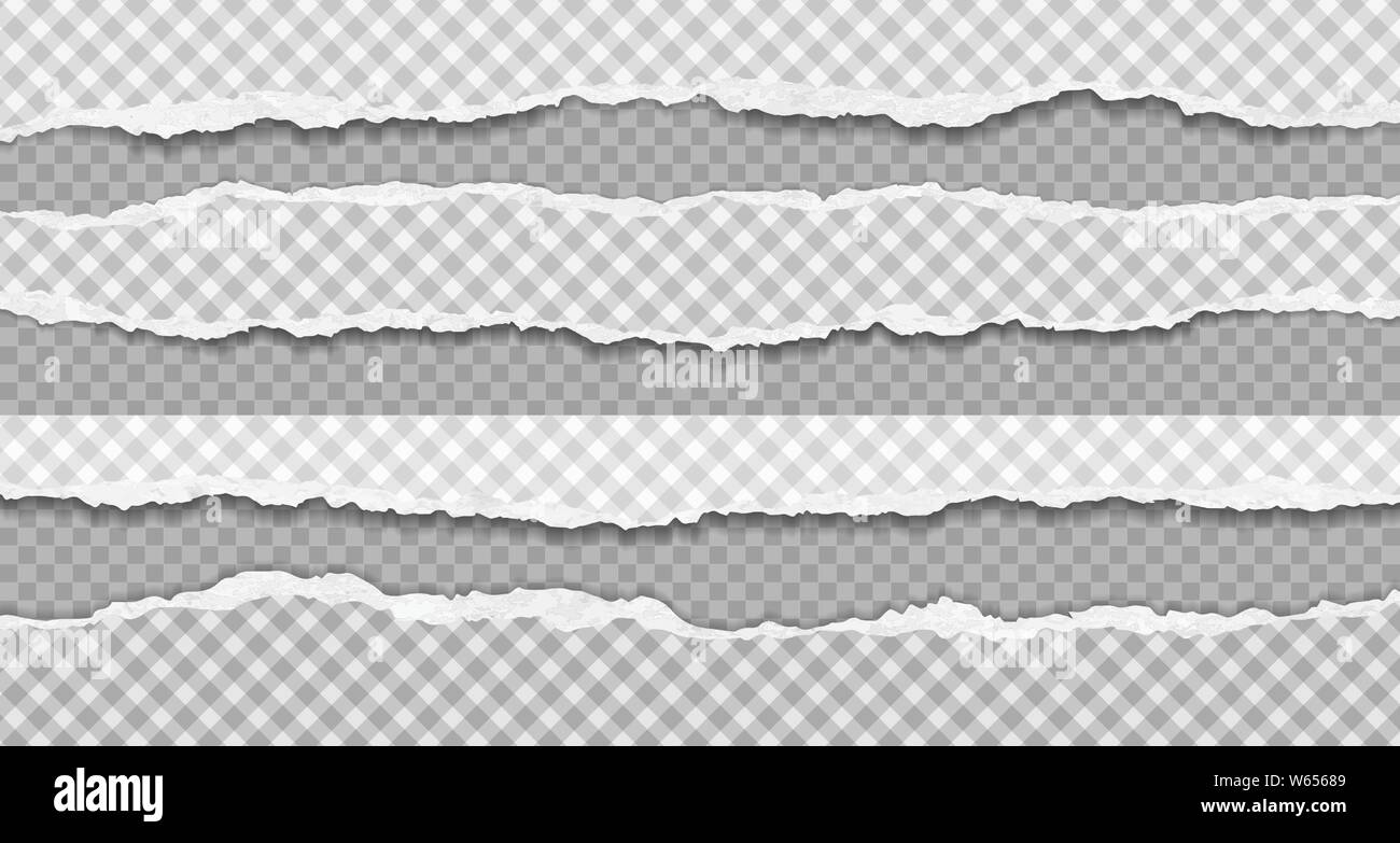 Piece of torn, squared horizontal paper strips with soft shadow are on ...