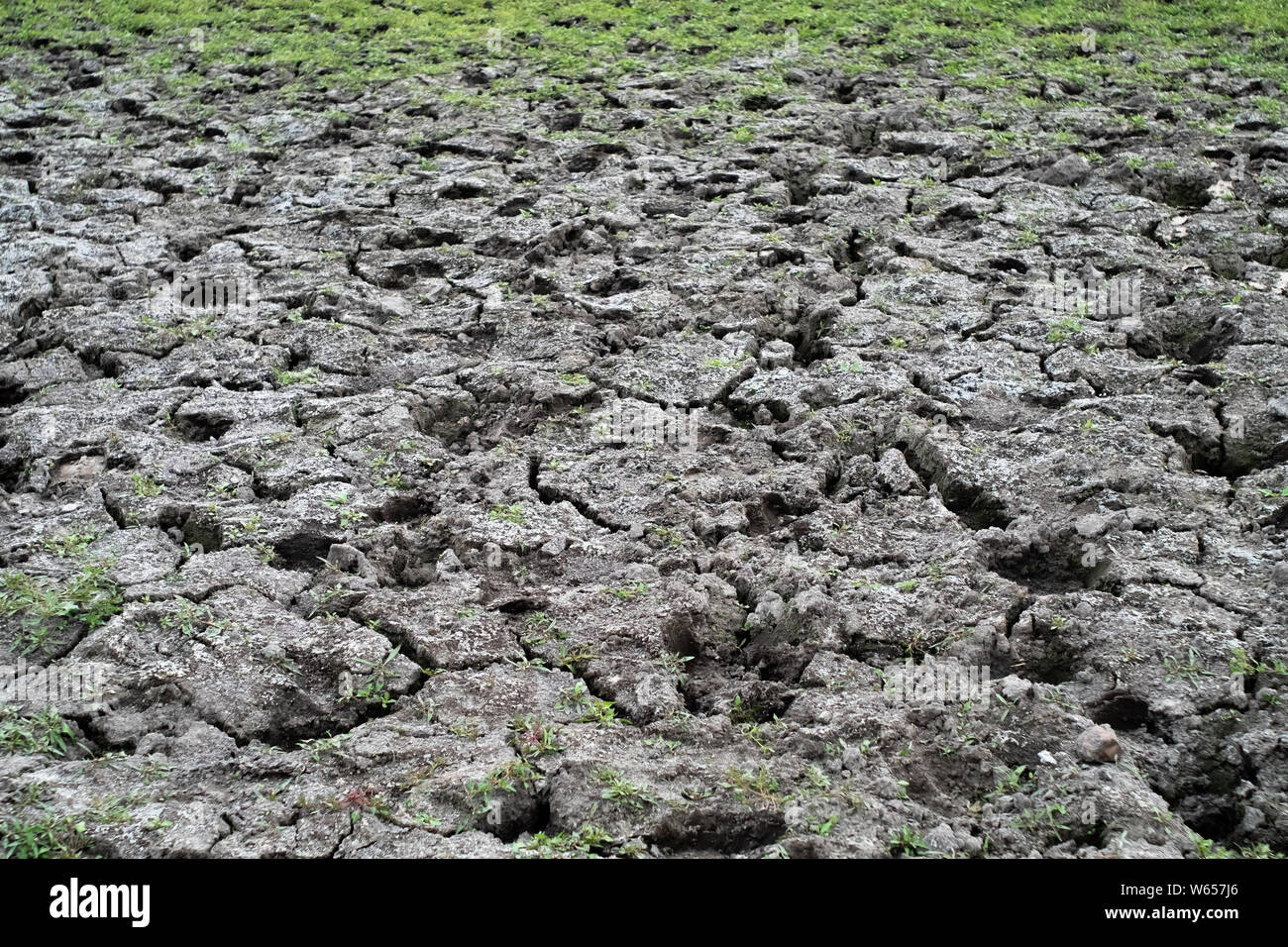 Silt soil ground hi-res stock photography and images - Alamy
