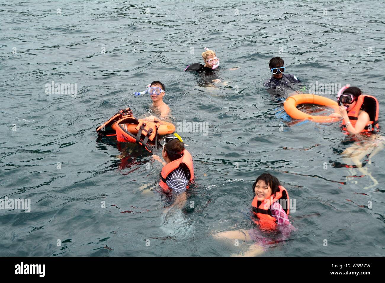 --FILE--Chinese tourists enjoy underwater diving in the Apo Island ...