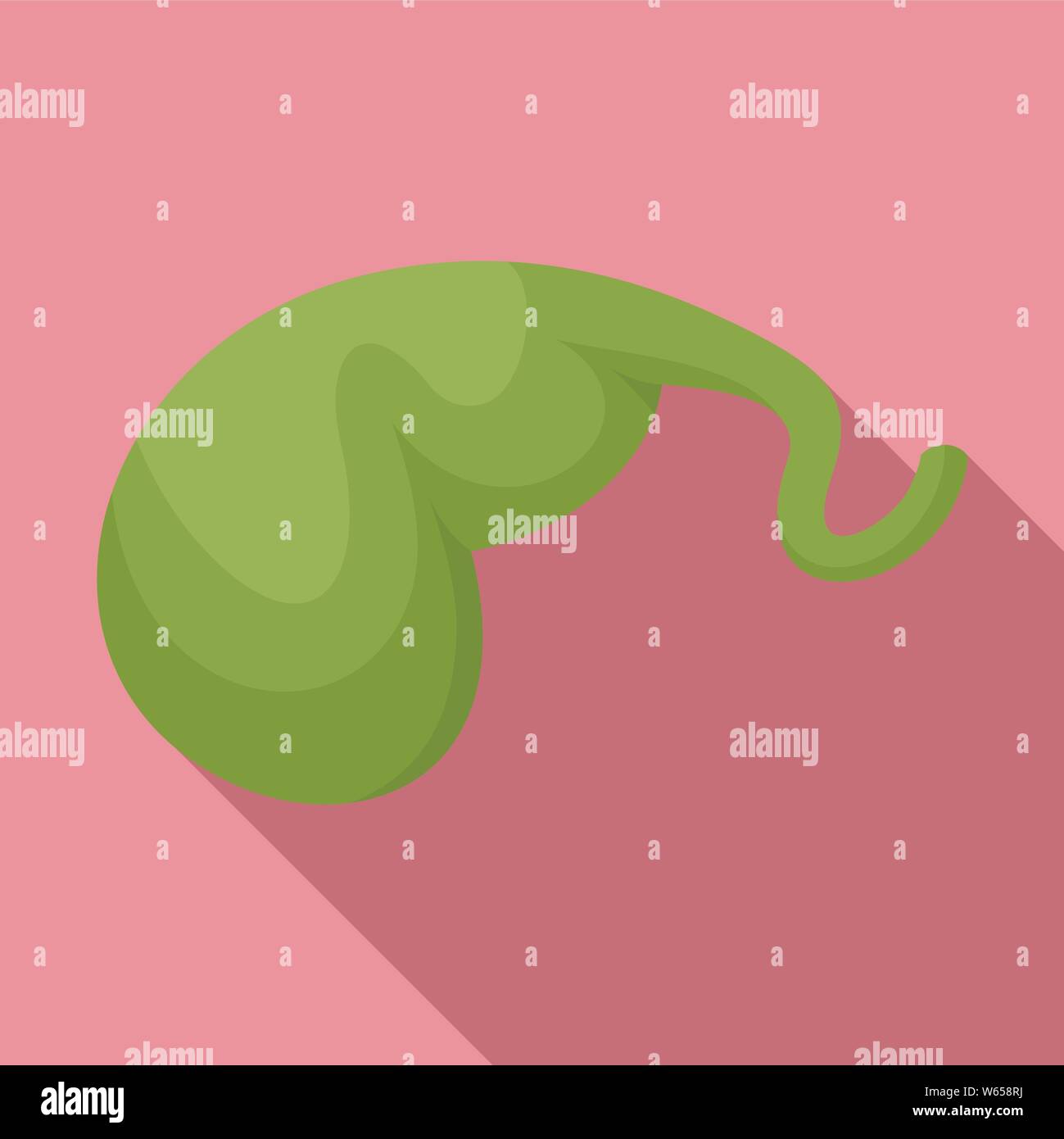 Gallbladder icon. Flat illustration of gallbladder vector icon for web design Stock Vector Image ...
