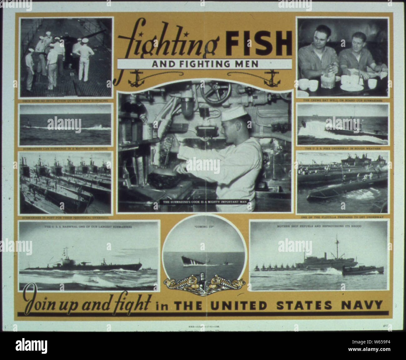 Aggressive fish species art hi-res stock photography and images - Alamy