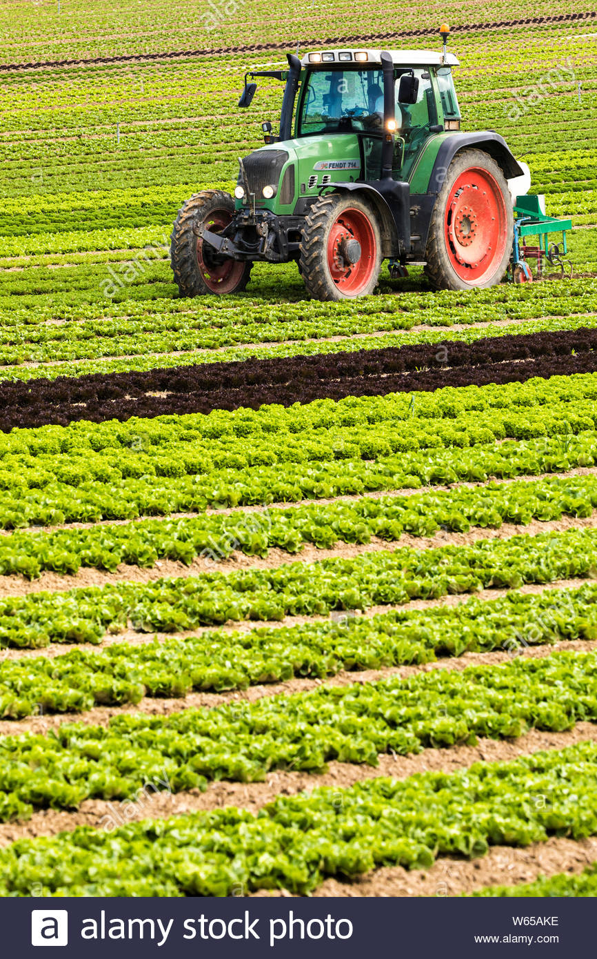 Row Crop Tractor High Resolution Stock Photography and Images - Alamy