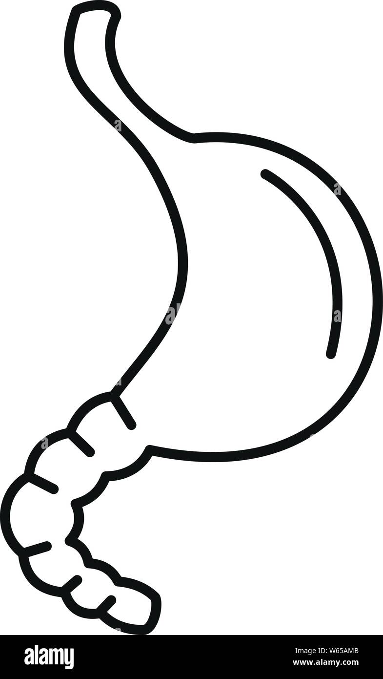 Stomach Icon Outline Stomach Vector Icon For Web Design Isolated On
