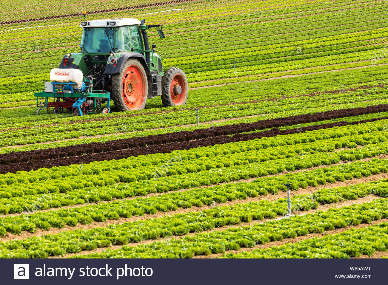 Farm Soil Crops High Resolution Stock Photography and Images - Alamy