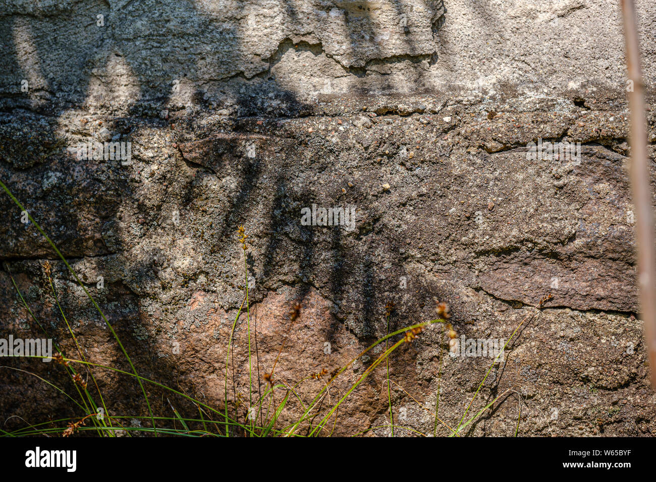 abstract shadows on the wall. background in summer sun Stock Photo - Alamy