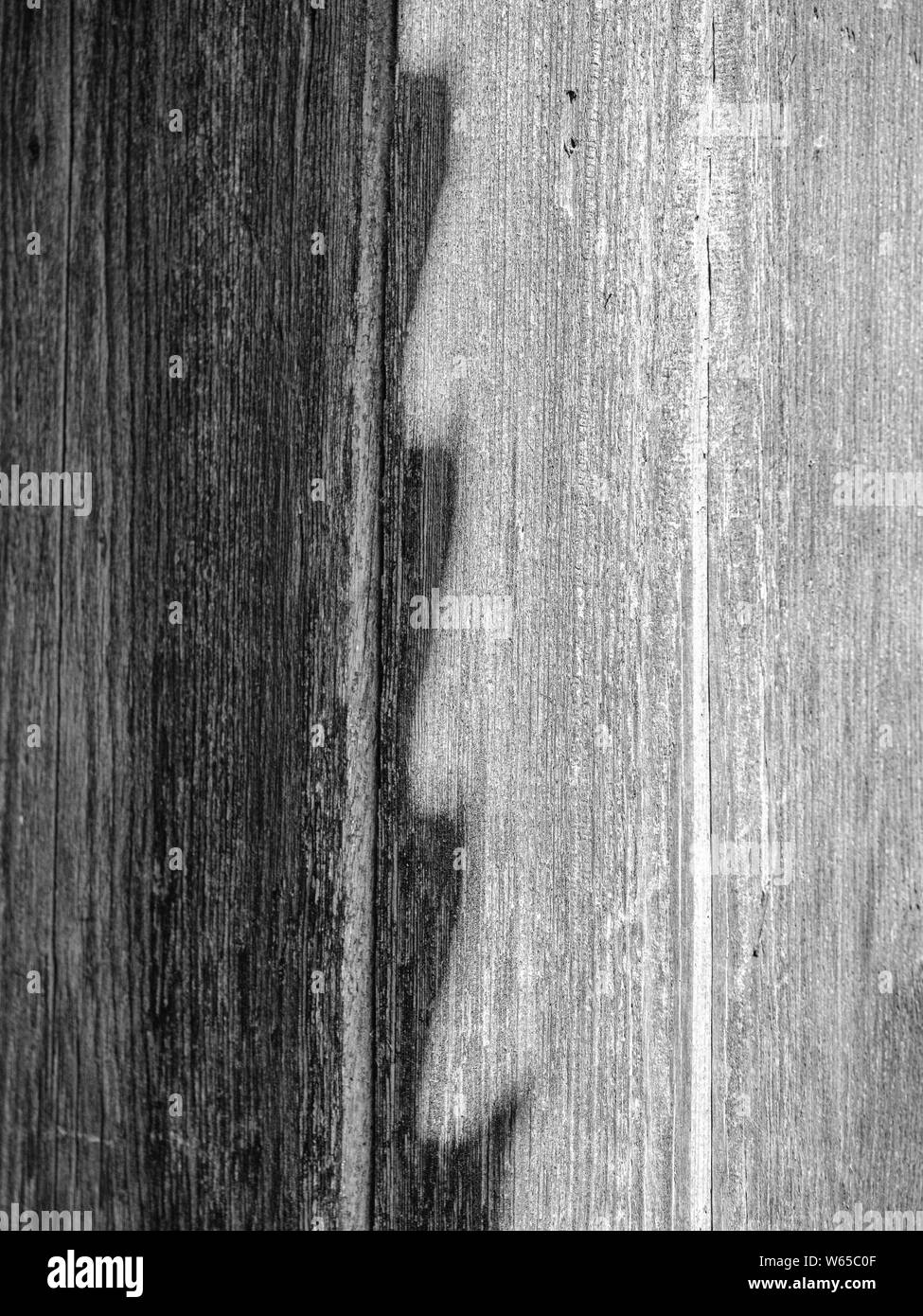 abstract shadows on the wall. background in summer sun Stock Photo - Alamy