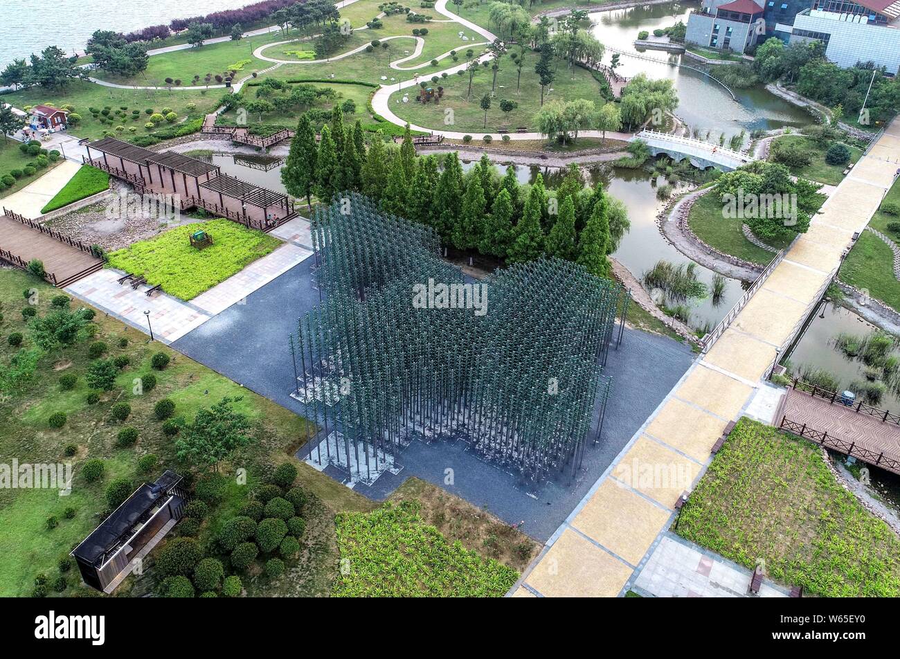 Aerial view of a forest made with iron "trunks" and plastic beer ...