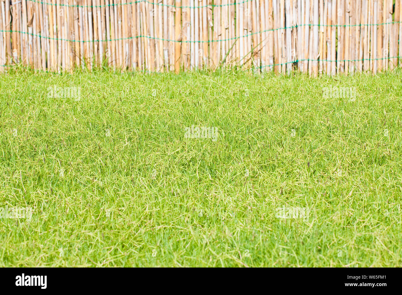 Lathwork hi-res stock photography and images - Alamy