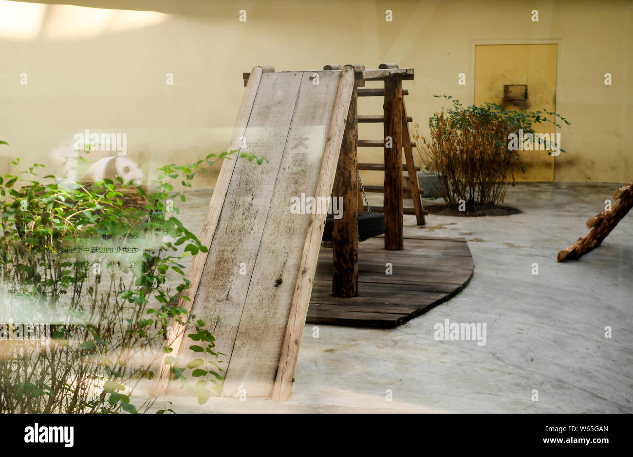 Interior view of the Giant Panda Pavilion for the two female giant ...