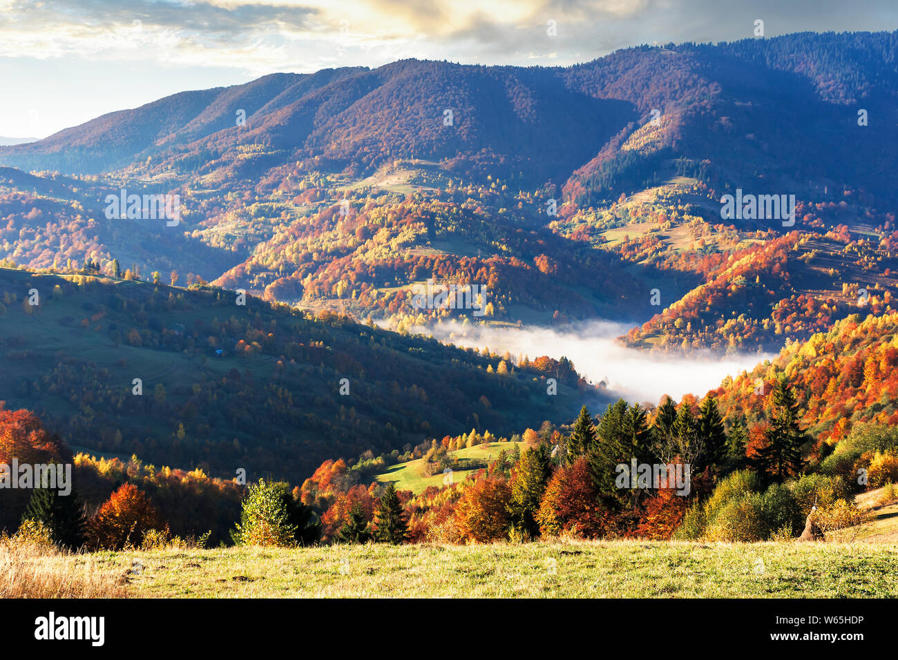 beautiful autumn morning scenery in mountains. fog rising in the valley ...