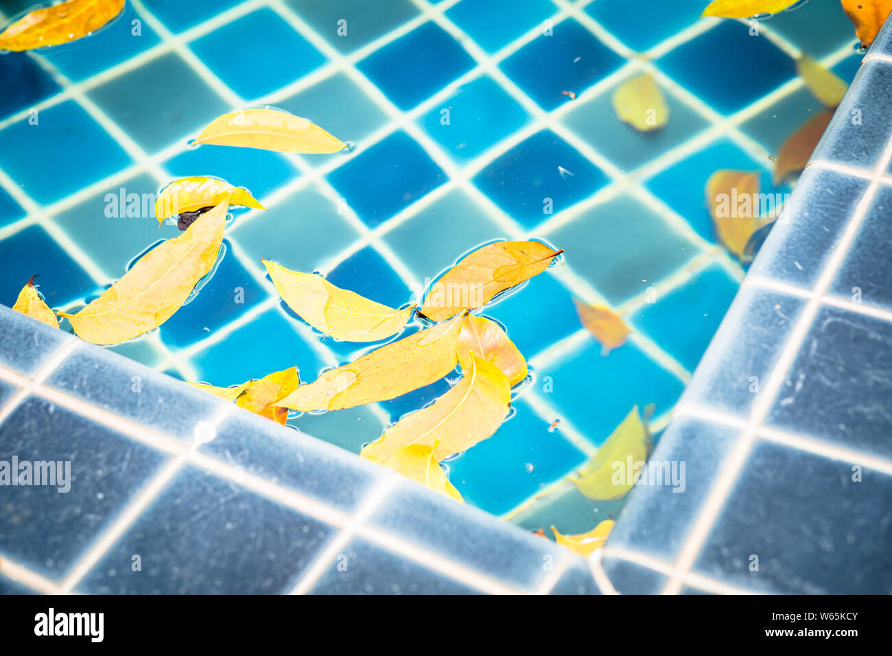 Blue Pool with autumn leaves with a waterfall Stock Photo - Alamy