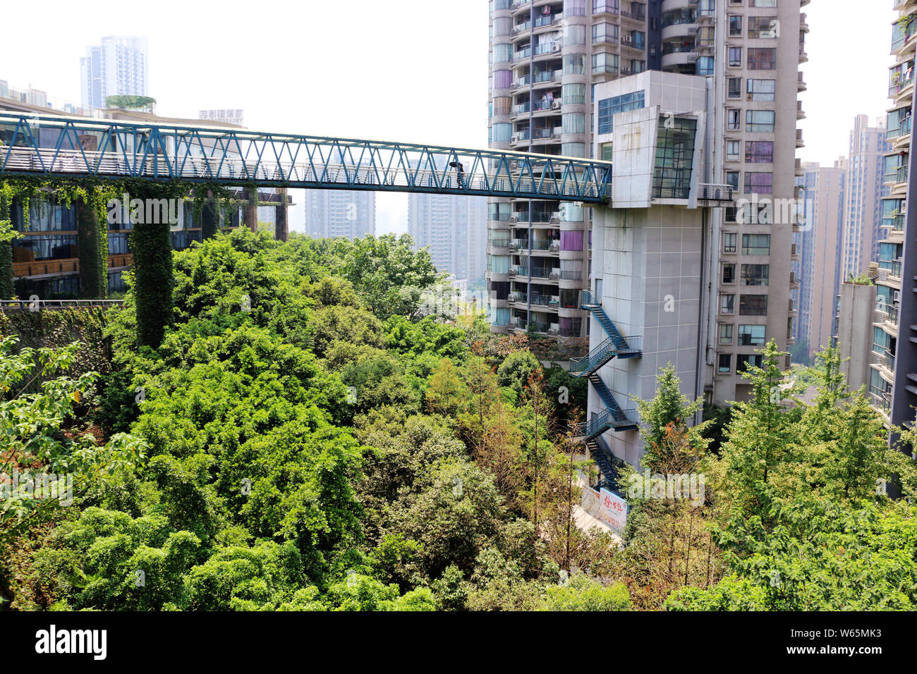 View of a 40-meter-high and 100-meter-long footbridge suspended in the ...