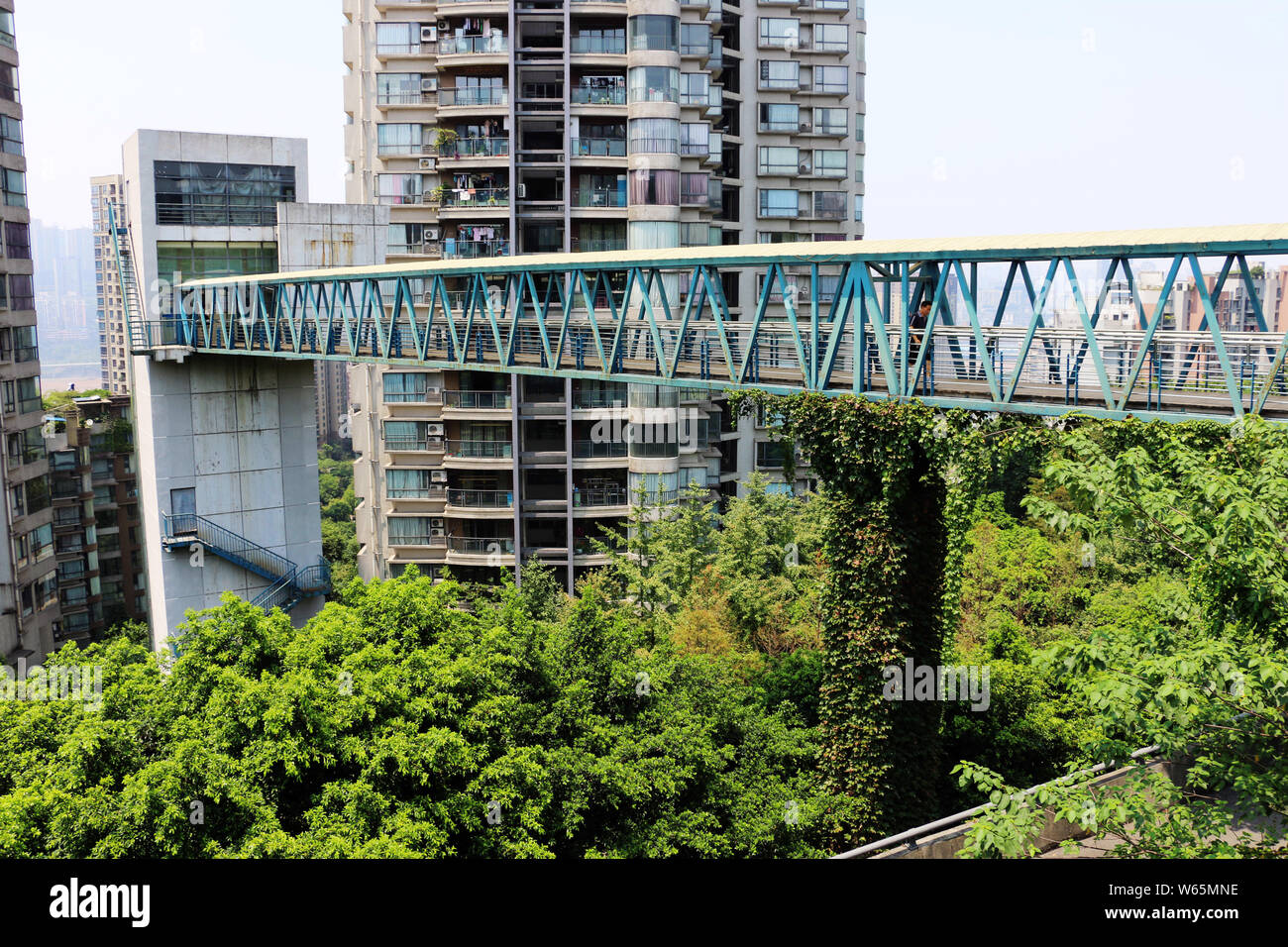 View of a 40-meter-high and 100-meter-long footbridge suspended in the ...