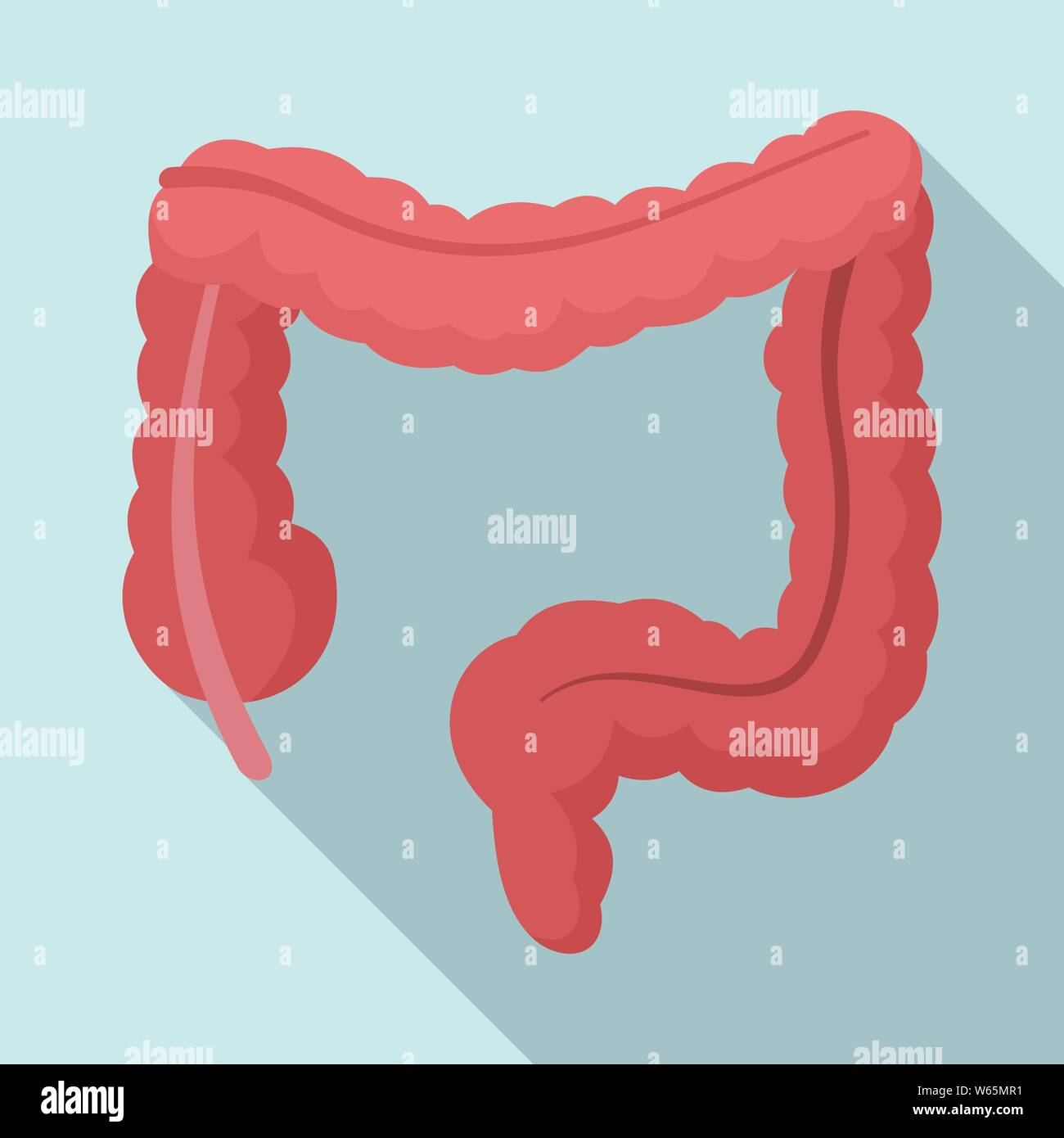 Human intestine icon. Flat illustration of human intestine vector icon ...