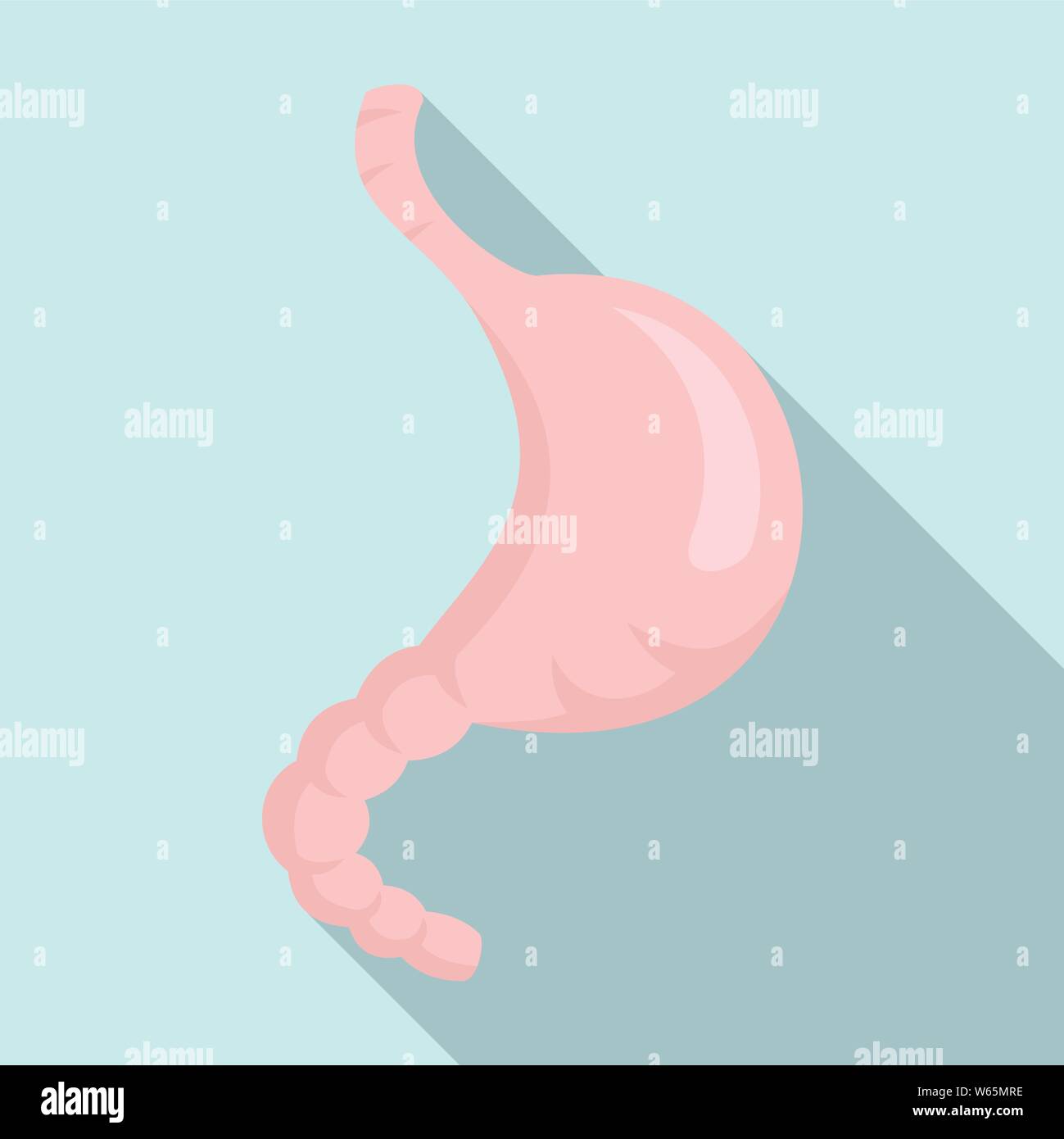 Stomach icon. Flat illustration of stomach vector icon for web design ...