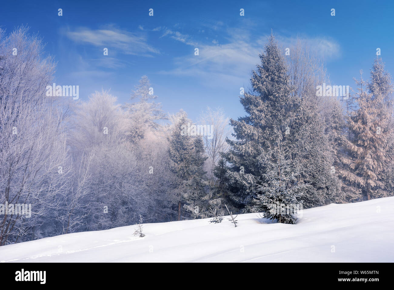 Breathtaking winter scenery hi-res stock photography and images - Alamy