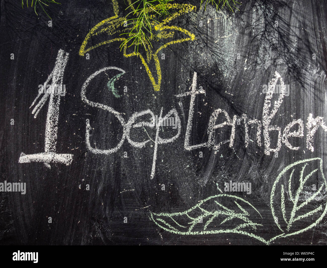 back to school concept. background of school blackboard concept of ...