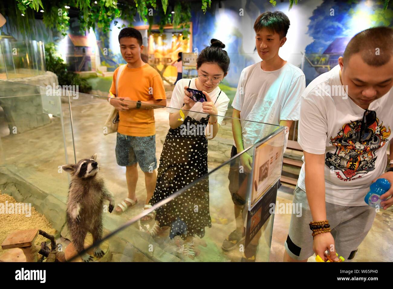 Chinese visitors look at a raccoon at the indoor petting zoo ...