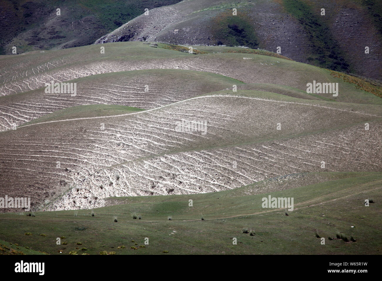 Landscape of the human body-like Kalajun Prairie in Tekes County, Ili ...